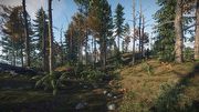 Rust PC, PS4, XONE, XSX, PS5 | GRYOnline.pl