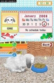 Petz: Bunnyz - DS | gamepressure.com