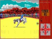 Rodeo Games PC | GRYOnline.pl