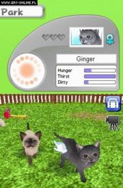 Petz: My Kitten Family, Petz: Catz Clan - DS | gamepressure.com