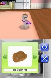 Petz: My Kitten Family, Petz: Catz Clan - DS | gamepressure.com