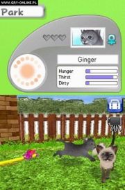 Petz: My Kitten Family, Petz: Catz Clan - DS | gamepressure.com