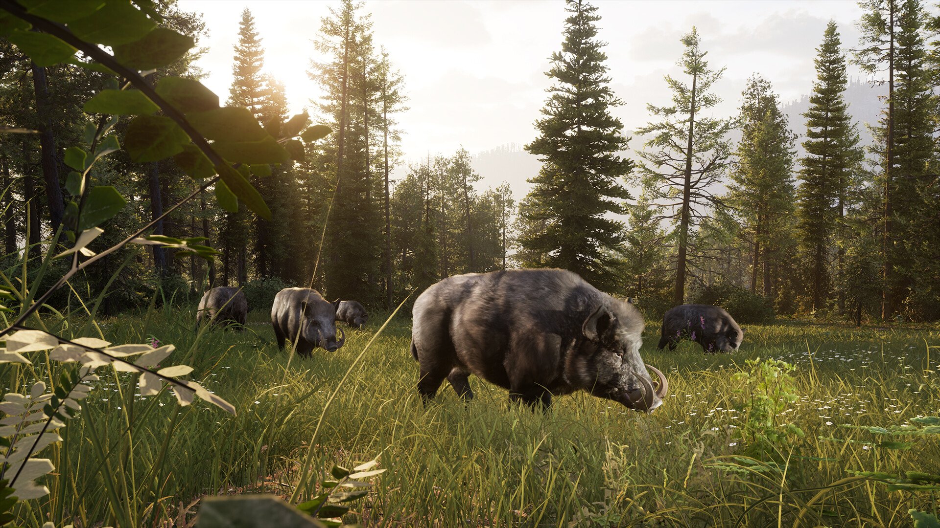 Way of the Hunter 2 - Game Database - gamepressure.com