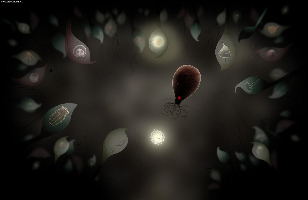 Botanicula - Game Database