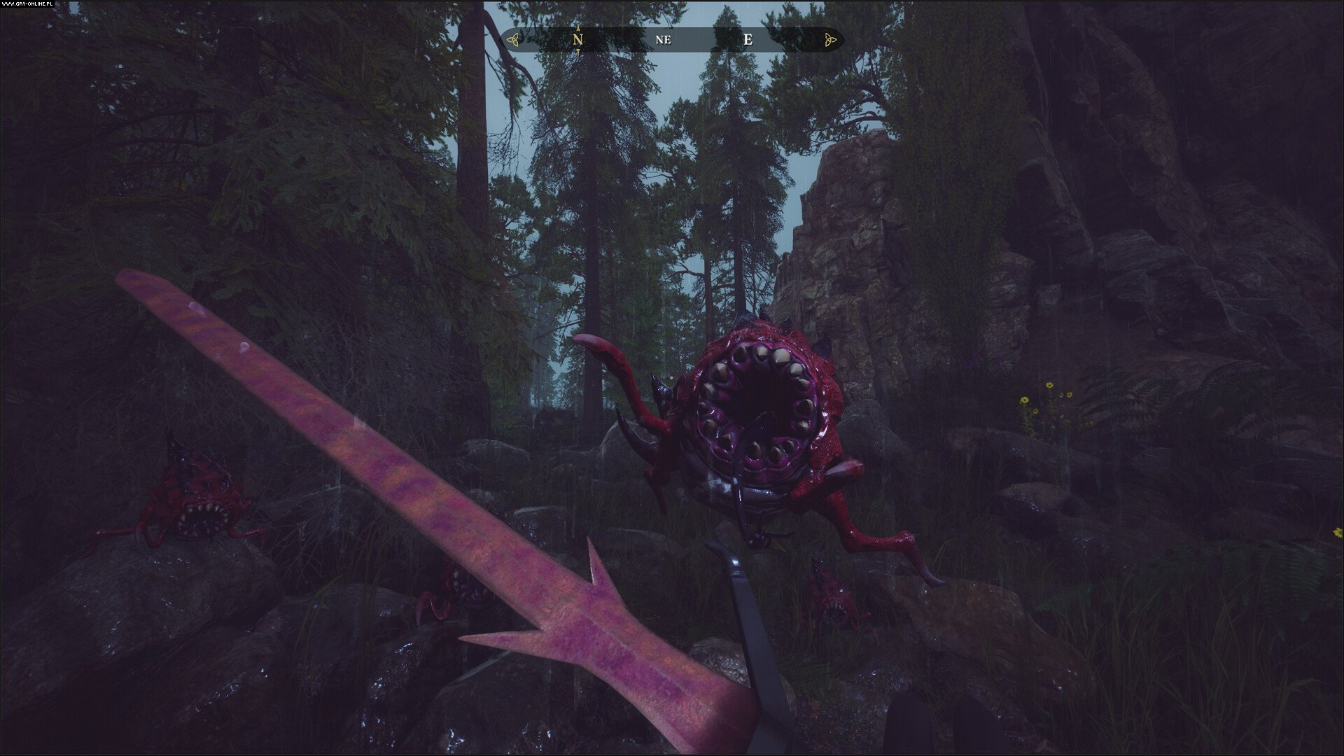 The Wayward Realms - Game Database - gamepressure.com