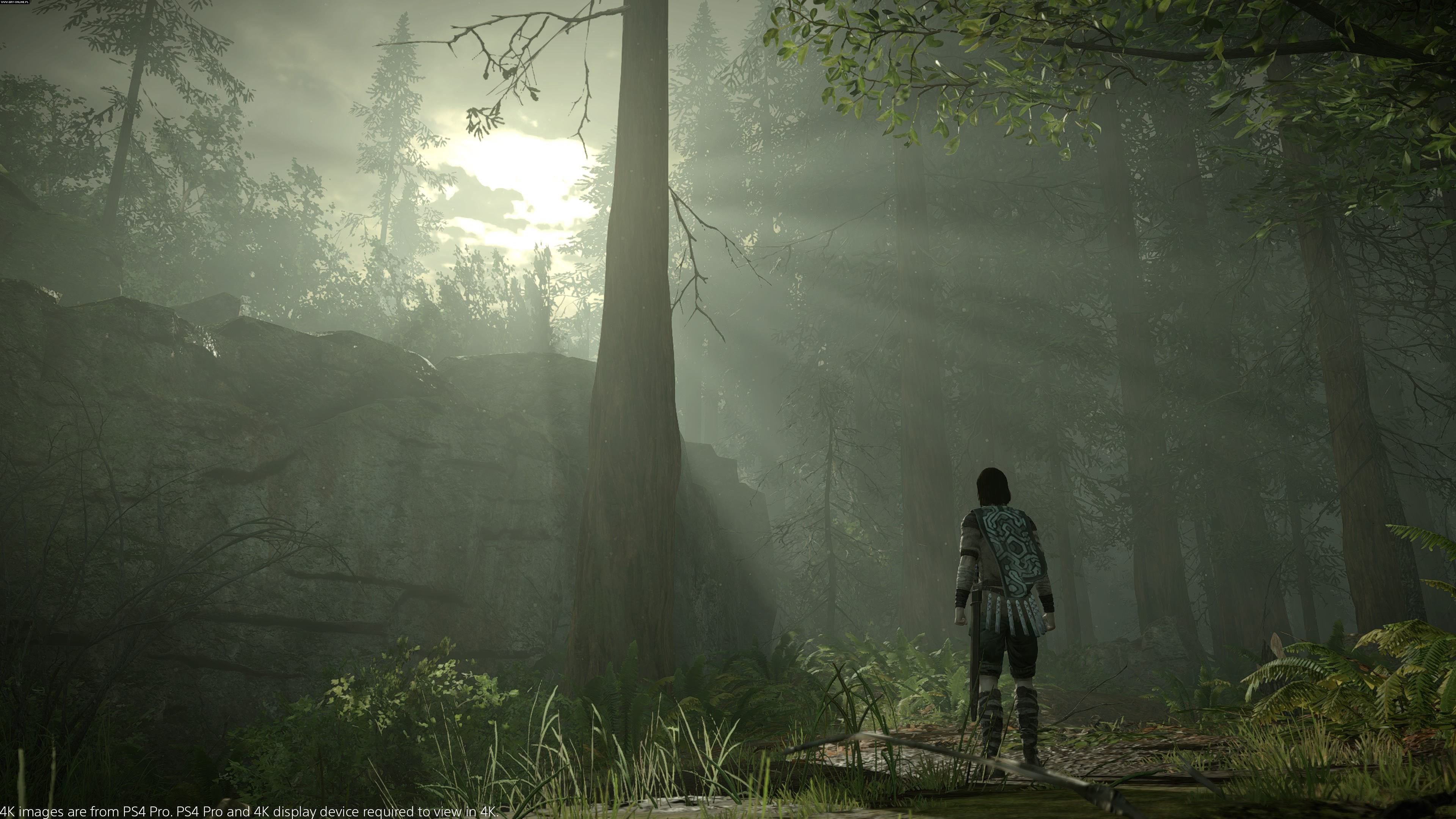 Shadow of the Colossus - Game Database - gamepressure.com