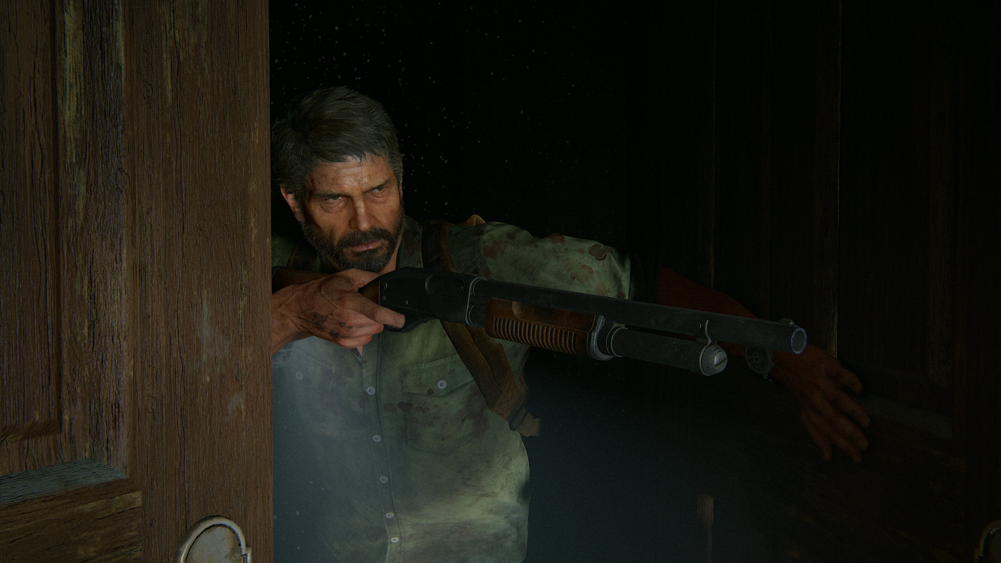 The Last of Us: Part II Remastered, The Last of Us 2 Remastered, TLoU2 ...